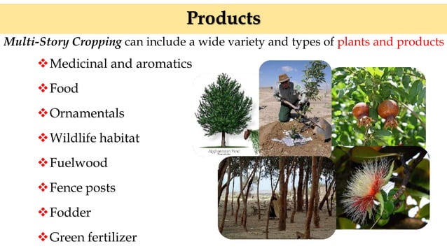 Multi cropping.pptx | Agriculture | Industries