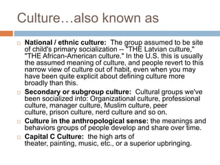 Multi Cultural Communication | PPTX