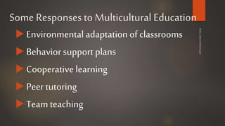Multicultural Diversity in Education | PPTX