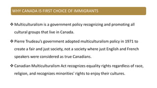 Multicultural enviroment | PPTX