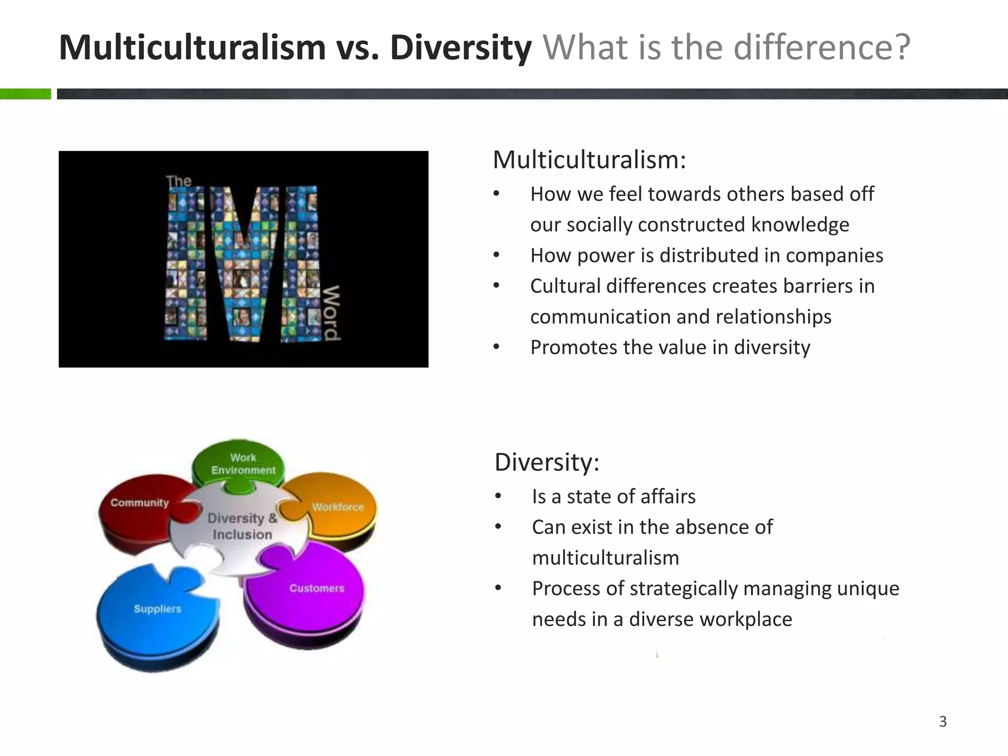 Multiculturalism and Diversity in the Workplace | PPTX