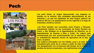 Multiculturalismo en Honduras por los pueblos indígenas | PPTX