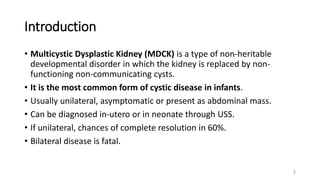 Multicystic Dysplastic Kidney.pptx