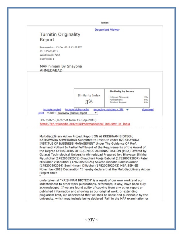 Multidisciplinary action project report | PDF