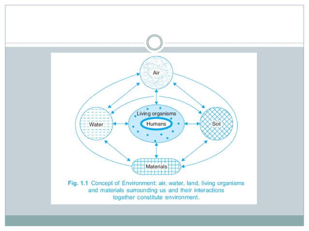 Multidisciplinary nature of enviroment | PDF