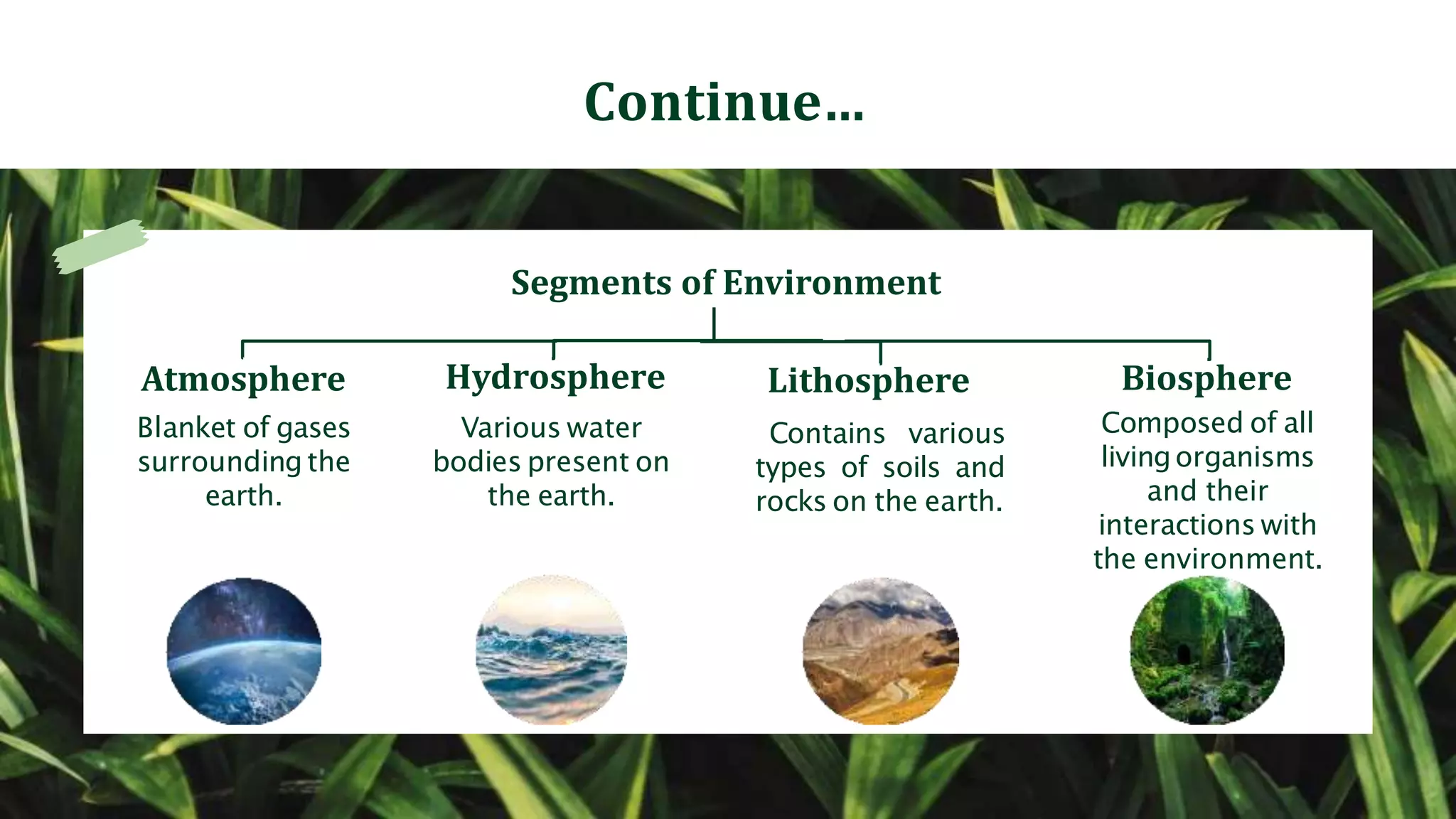 Multidisciplinary nature of enviromental studies.pptx by Jeel Dobariya ...