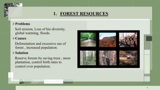 Multidisciplinary nature of_environmental_studies | PPTX