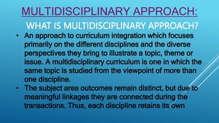 MULTIDISCIPLINARY PROJECTS.pptx