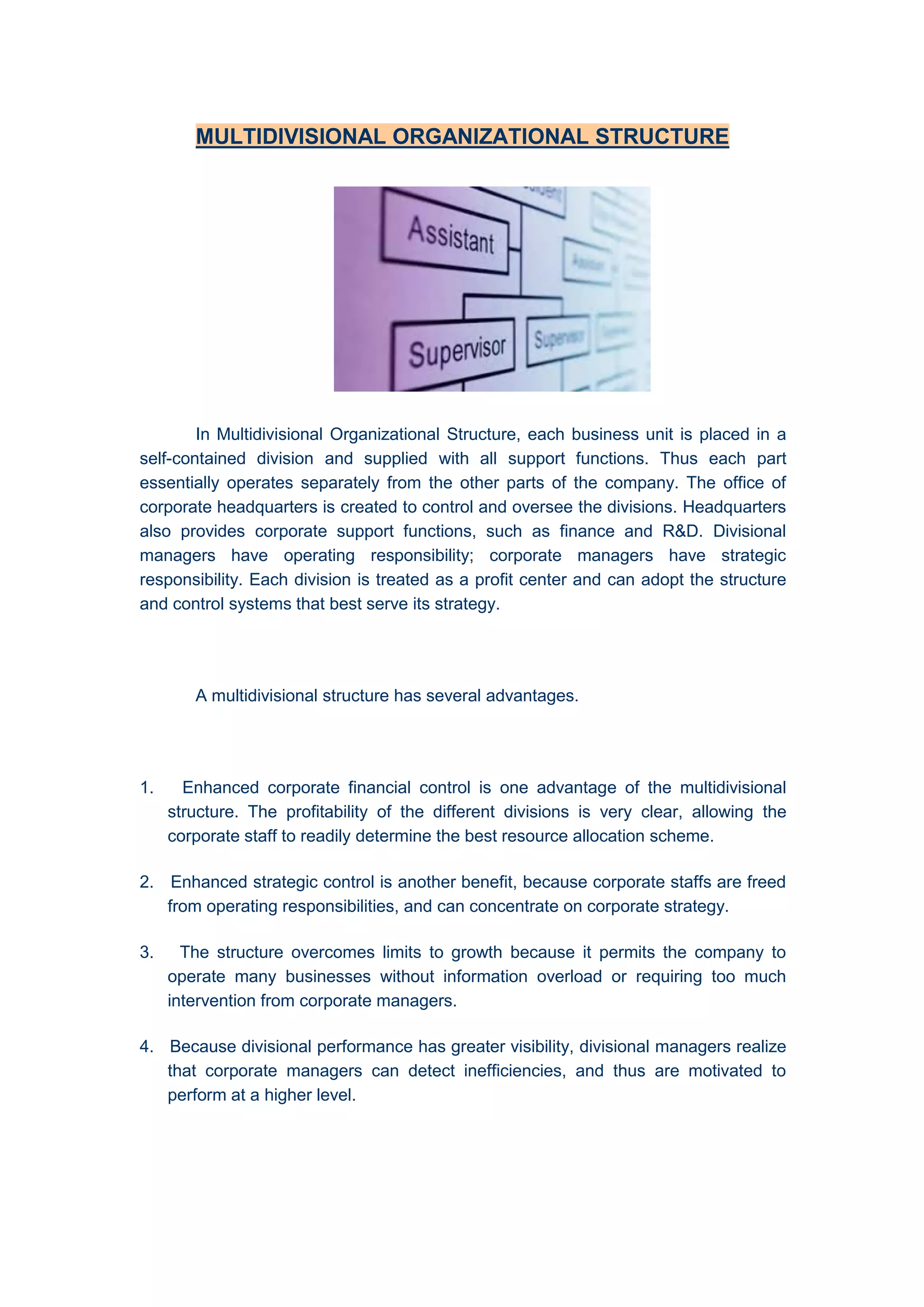 Multidivisional organizational structure | PDF