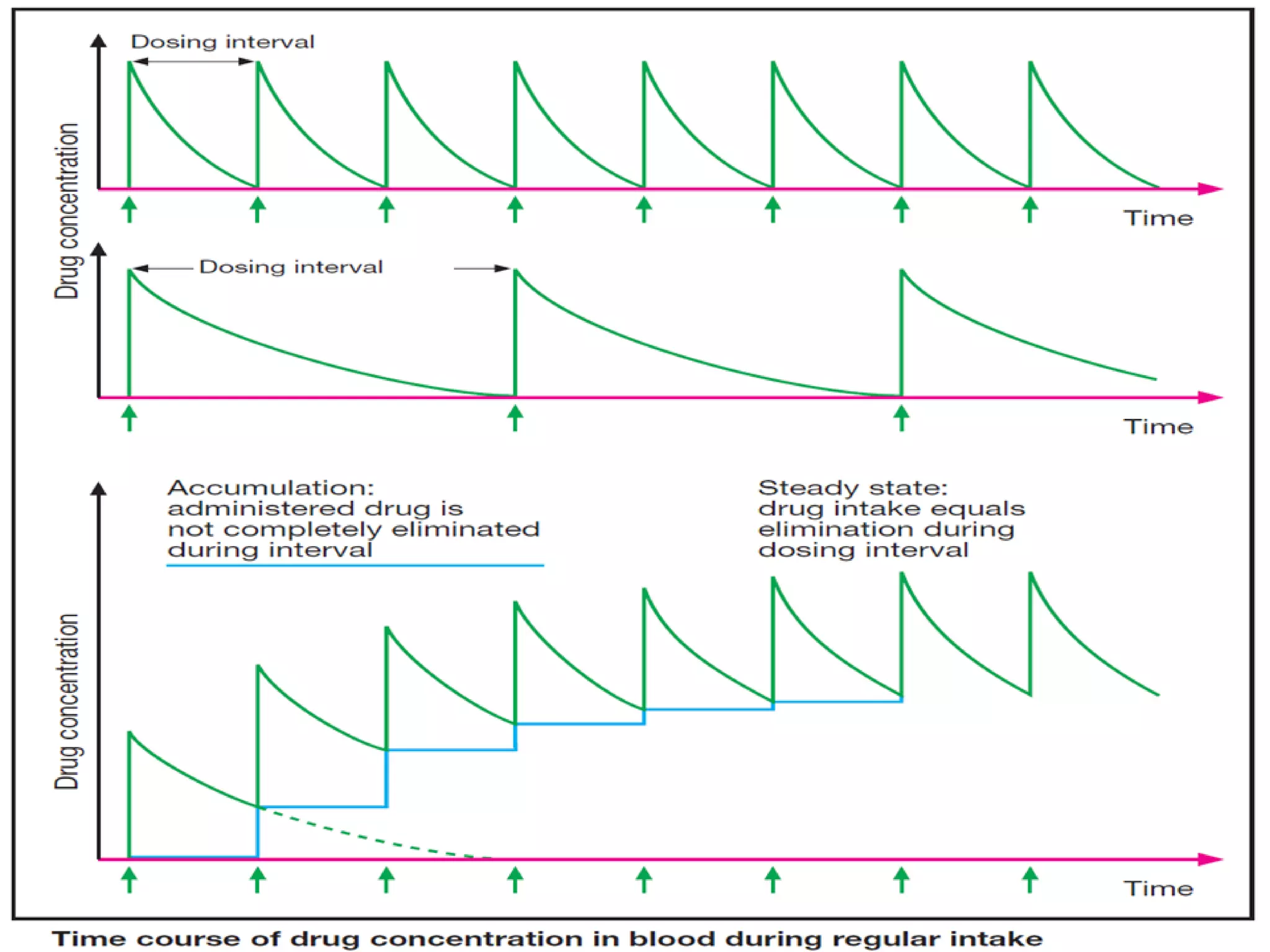 Pharmacokinetics / Biopharmaceutics - Multi dosage regimens | PDF