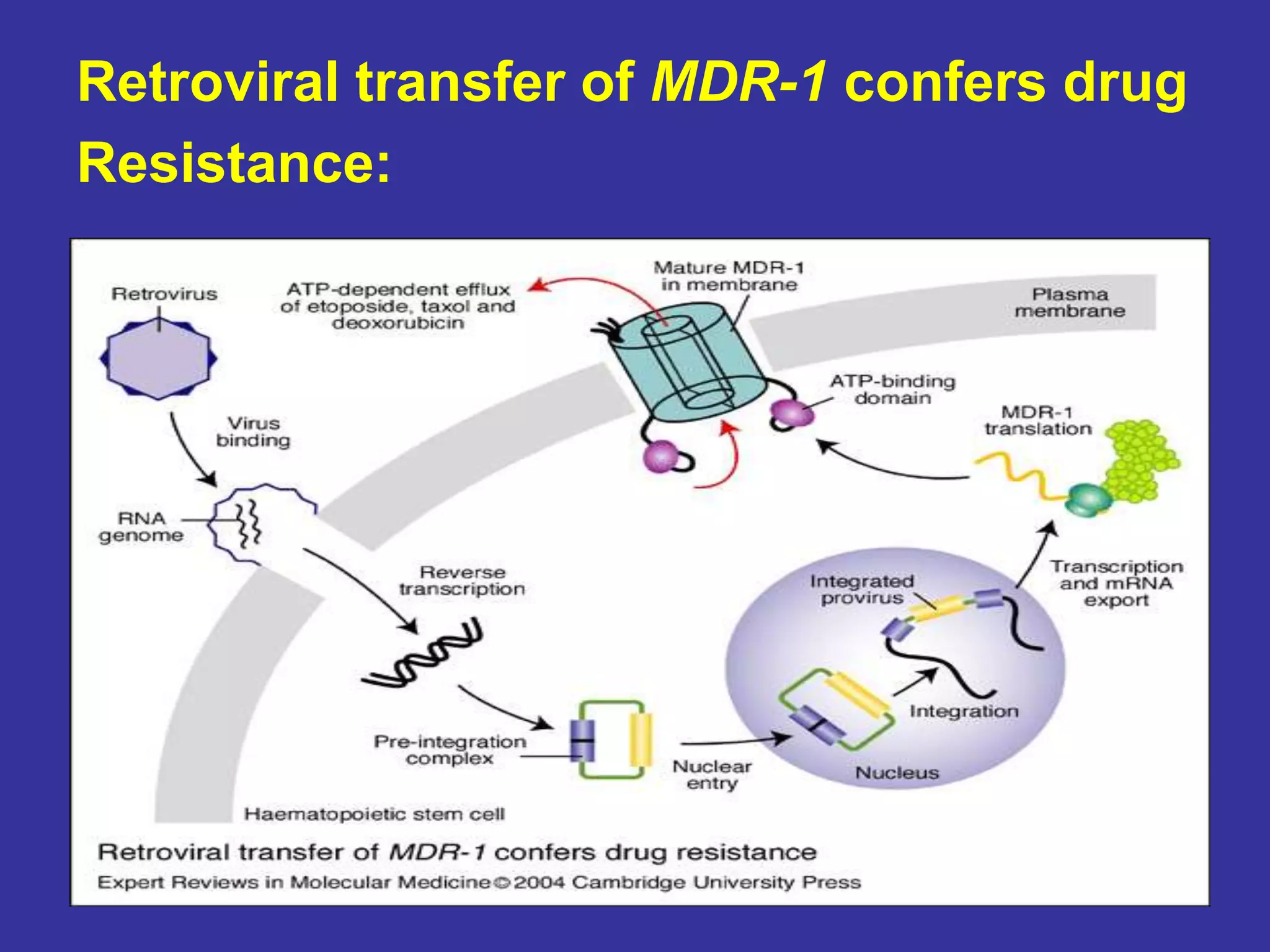Multi drug resistance | PPTX