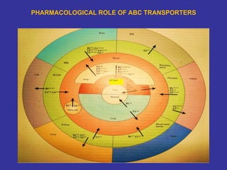 Multi drug resistance | PPTX