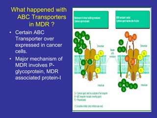 Multi drug resistance | PPTX