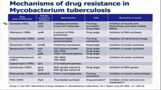 Multi drug resistance (MDR TB) tuberculosis | PPTX | Infectious ...