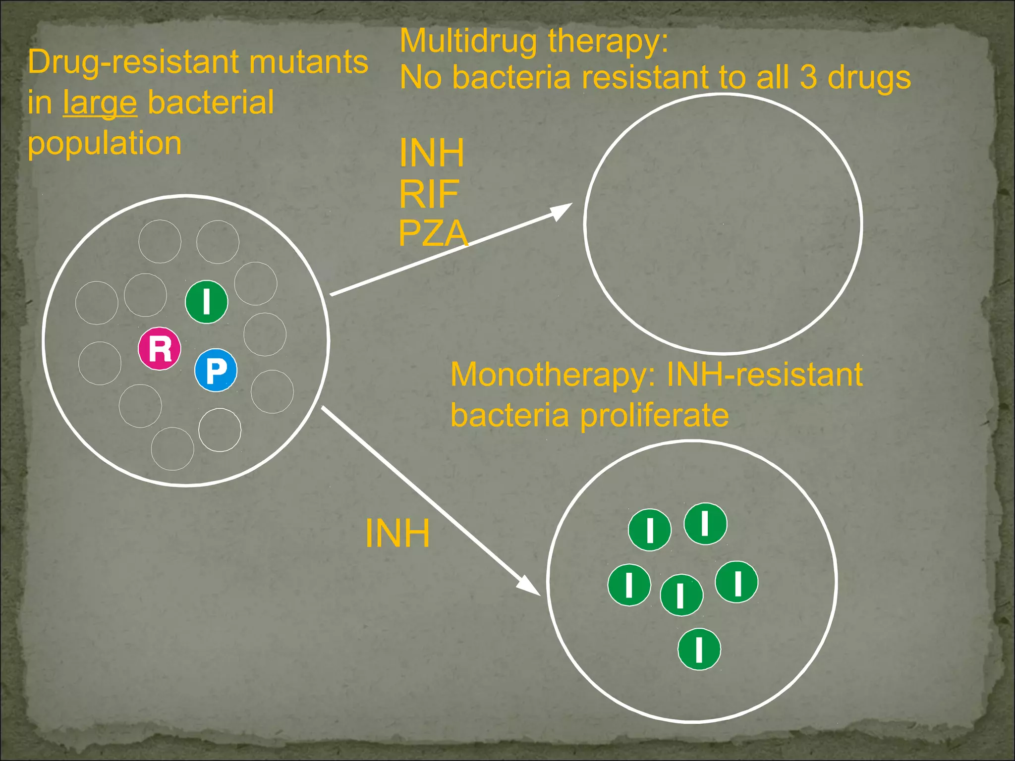 Multi drug resistanse | PPT
