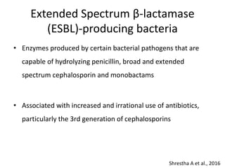 Multidrug resistant UTI.pptx | Infectious Diseases | Diseases and ...