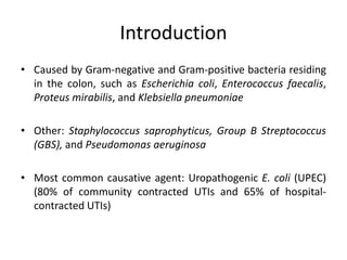 Multidrug resistant UTI.pptx