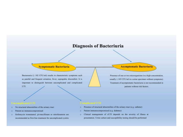 Multidrug resistant UTI.pptx | Infectious Diseases | Diseases and ...