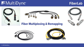 MULTIDYNE VIDEO & FIBER OPTIC SYSTEMS | PDF
