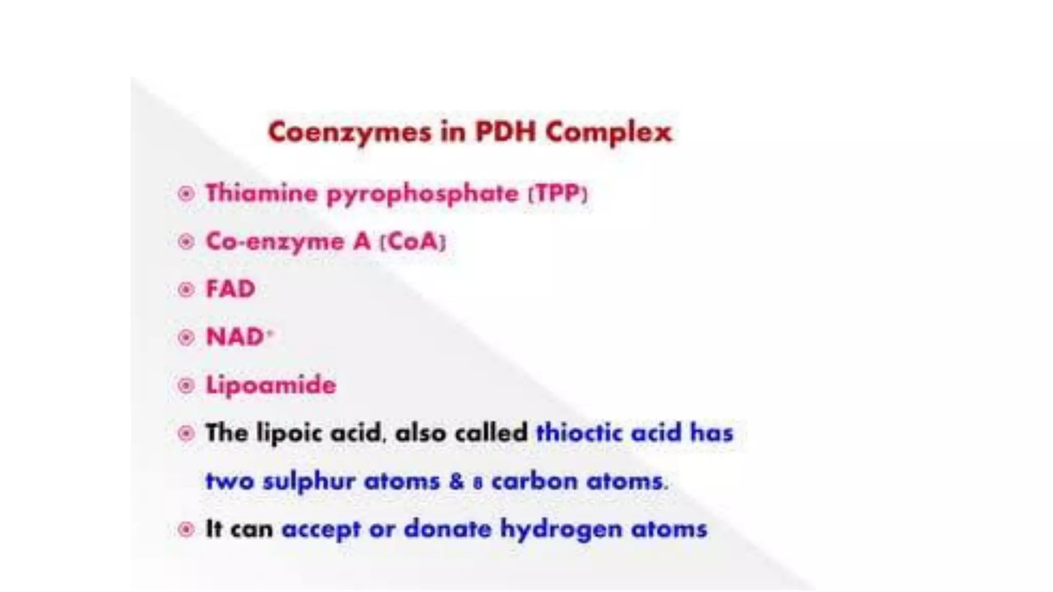 Multienzyme System.pdf