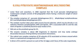 Multienzyme System.pdf