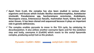 Multienzyme System.pdf