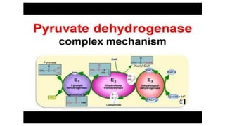 Multienzyme System.pdf