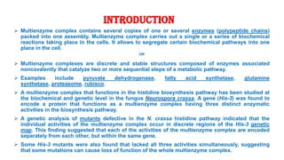 Multienzyme System.pdf