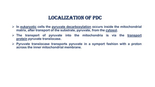 Multienzyme System.pdf