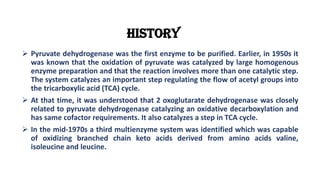 Multienzyme System.pdf
