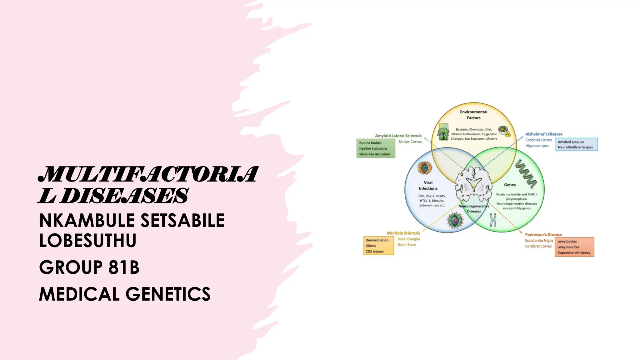 Multifactorial diseases medical genetics.pptx
