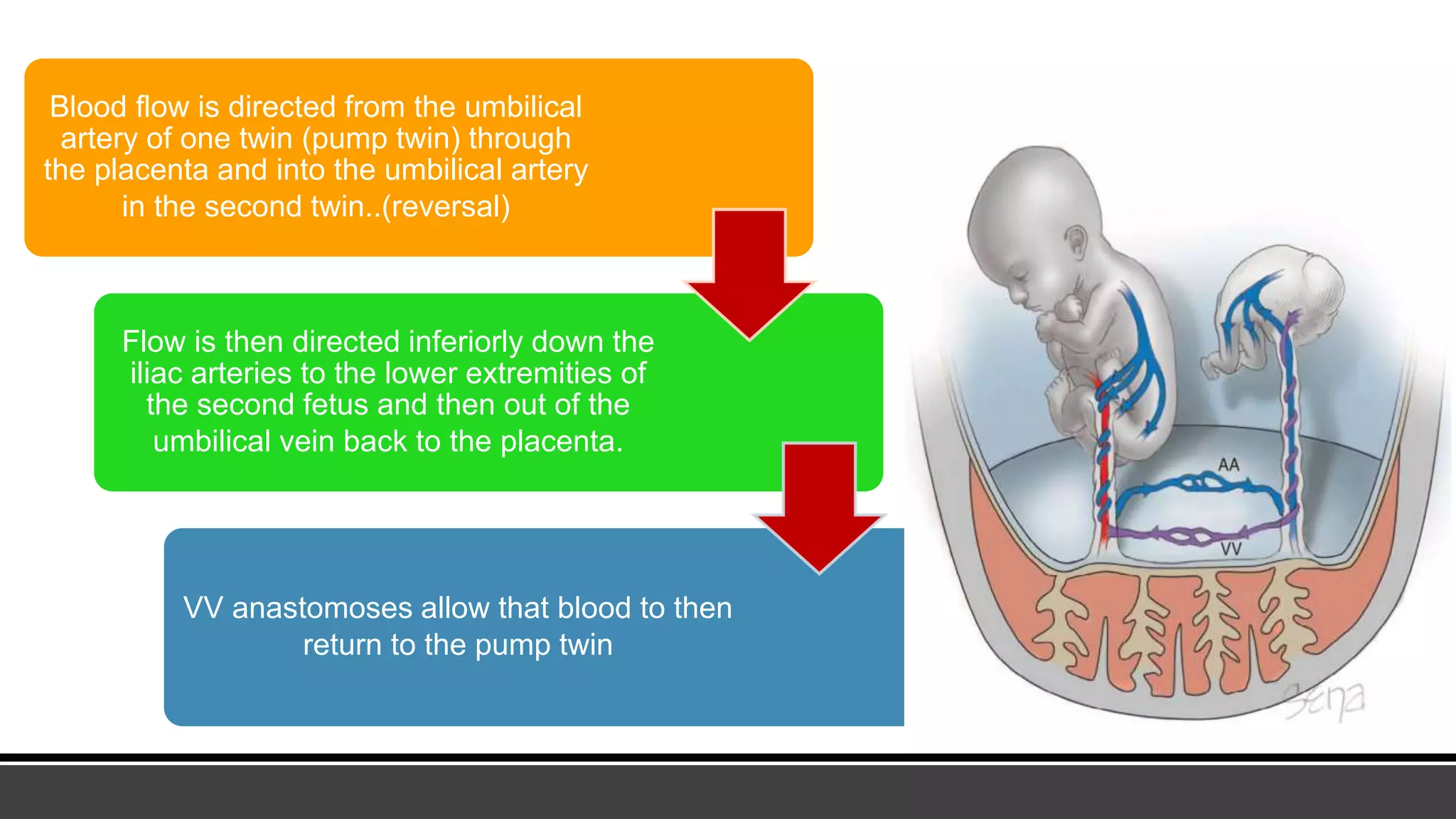 Multifetal pregnancy RADIOLOGY | PPTX