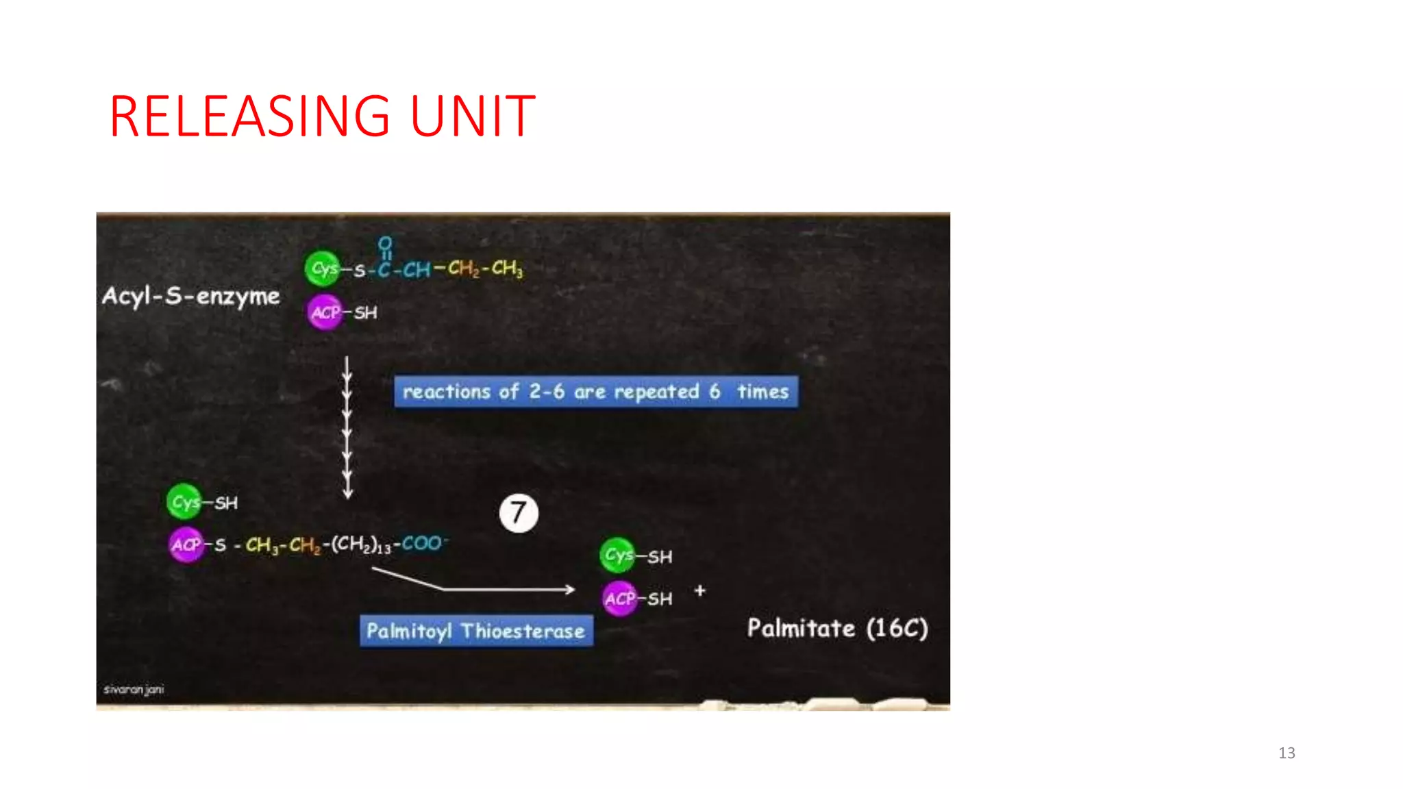 Multifunctional enzymes | PPTX