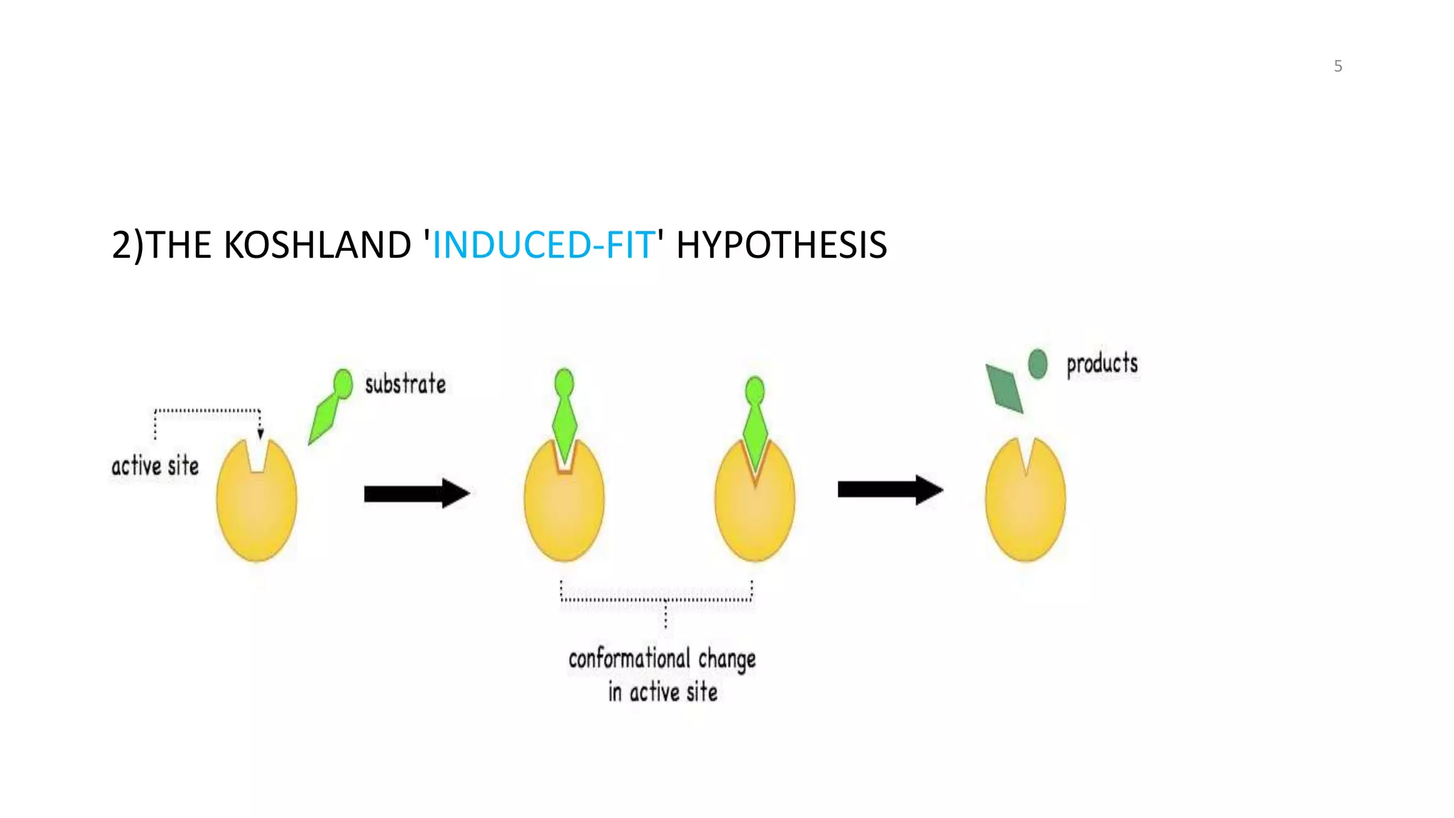 Multifunctional enzymes | PPTX
