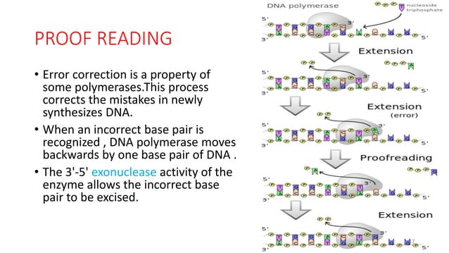 Multifunctional enzymes | PPTX