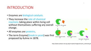 Multifunctional enzymes | PPTX