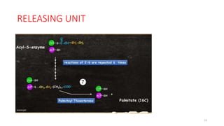 Multifunctional enzymes | PPT