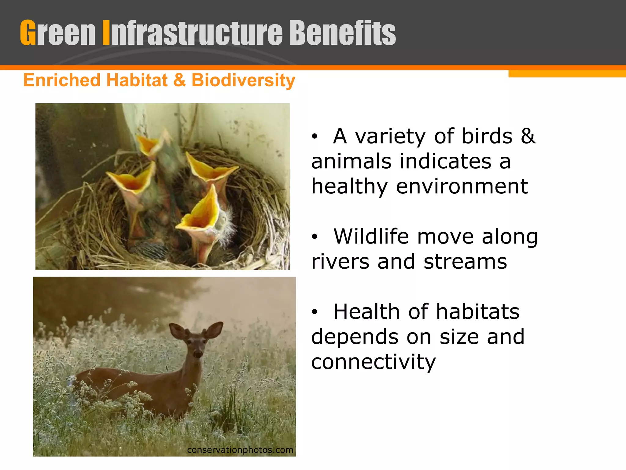 Multifunction green infrastructure new cairo | PDF