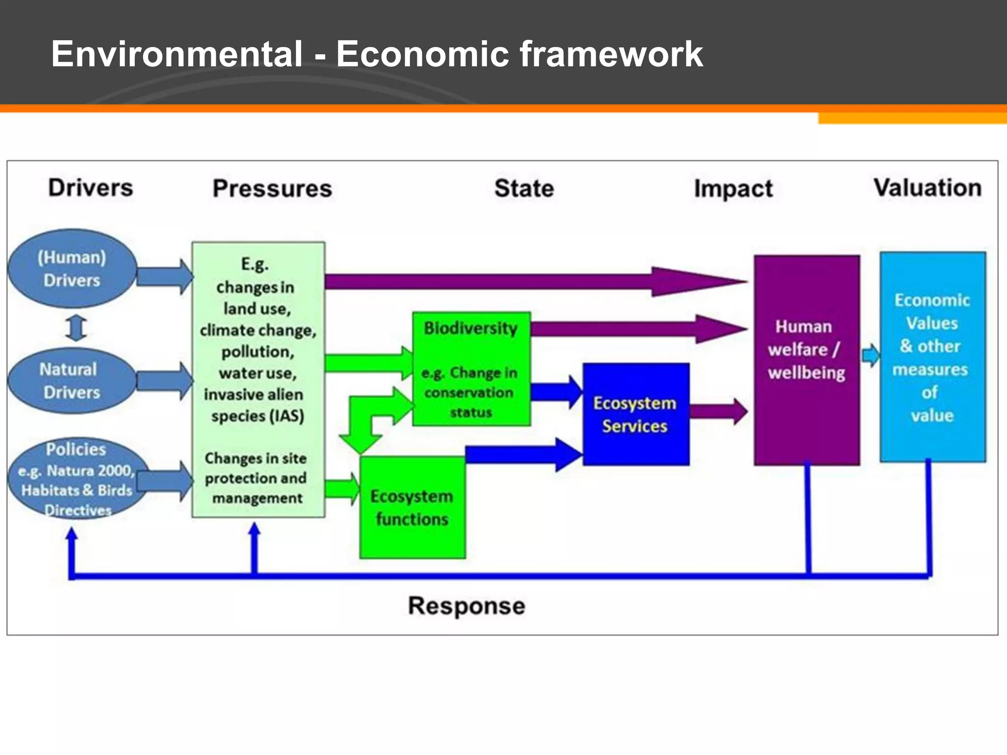Multifunction green infrastructure new cairo | PDF