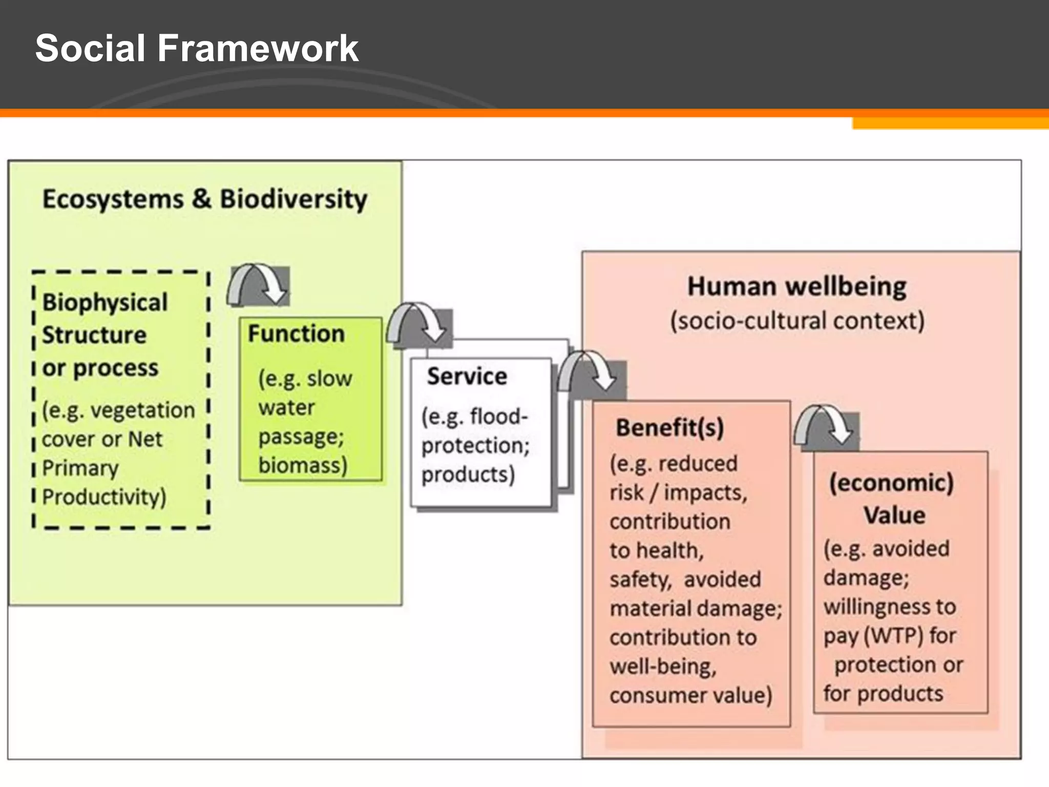 Multifunction green infrastructure new cairo | PDF
