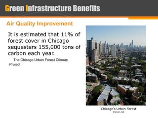 Multifunction green infrastructure new cairo | PDF