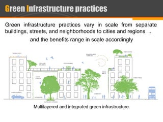 Multifunction green infrastructure new cairo | PDF