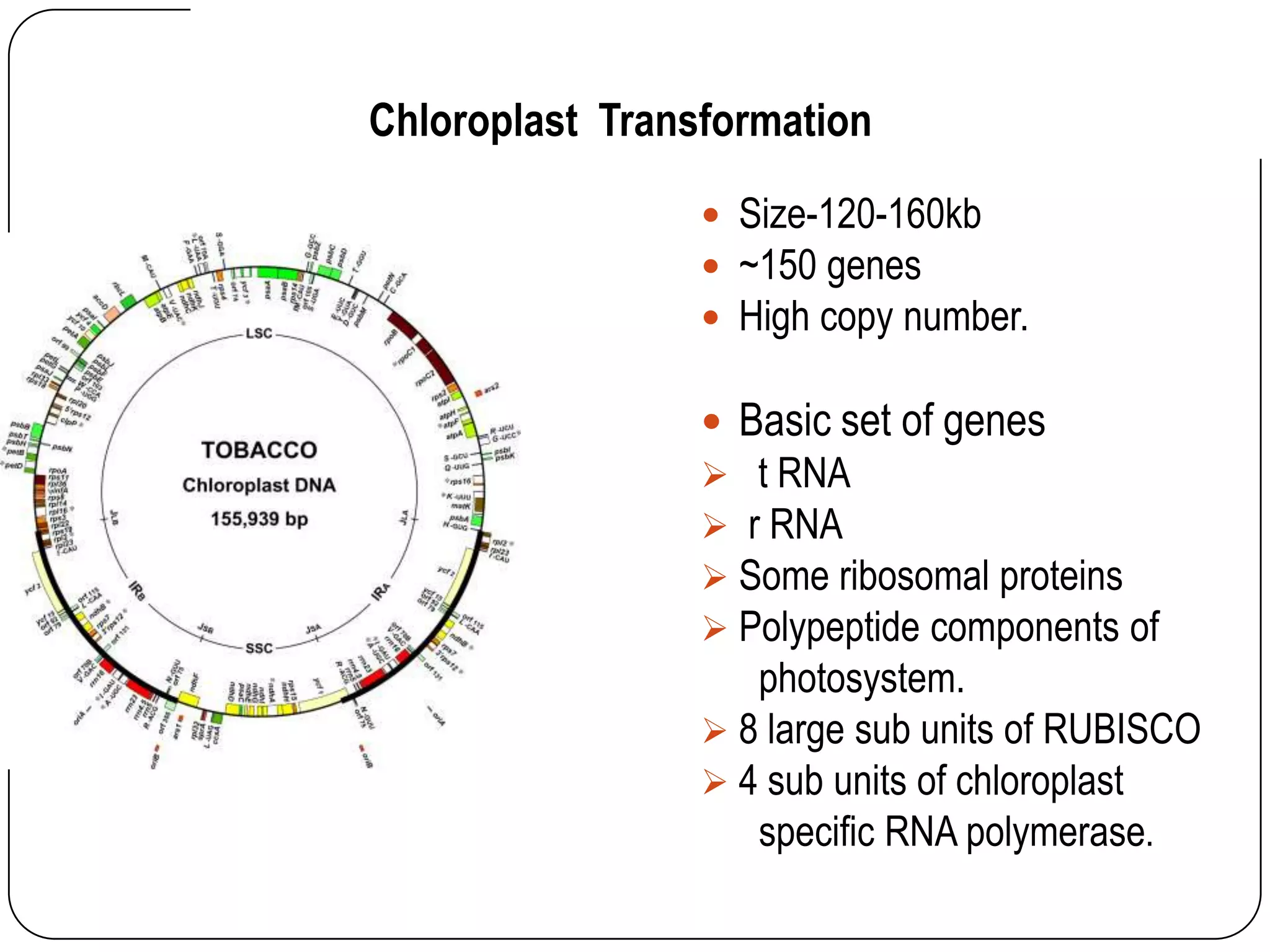 Multigene engineering in plants | PPTX