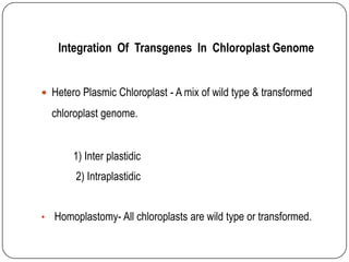 Multigene engineering in plants | PPTX