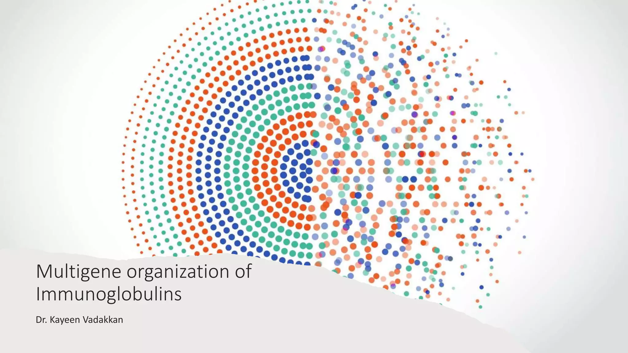 Multigene organization of immunoglobulins | PPTX