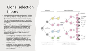Multigene organization of immunoglobulins | PPTX