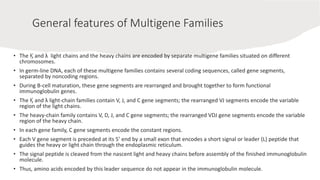 Multigene organization of immunoglobulins | PPTX