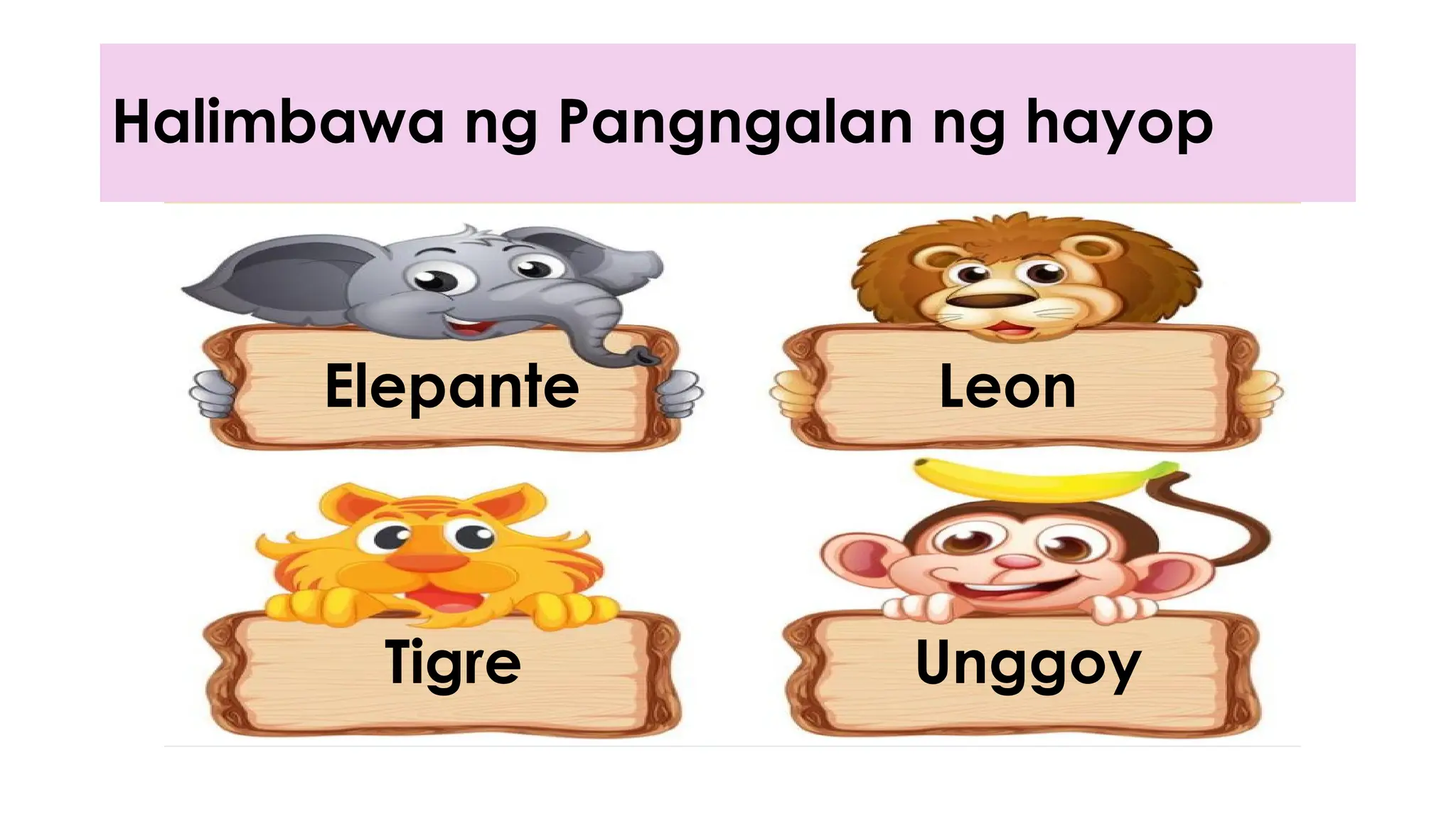 Presentation on the Multi grade .pptx