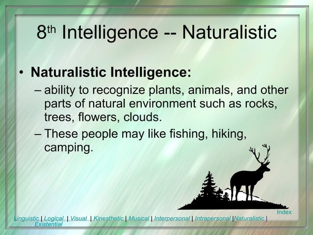 Multiple intelligences Gardner | PPT