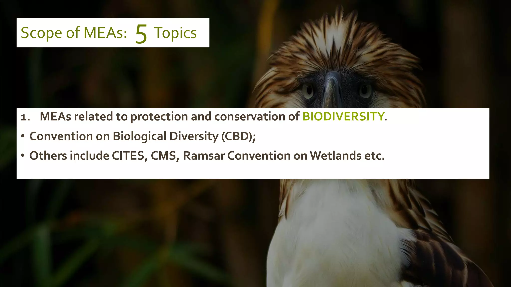 Multilateral-Environmental-Agreements-MEAs.pptx